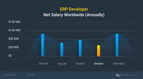 Hire Erp Developers Remote Erp Programmer Mobilunity