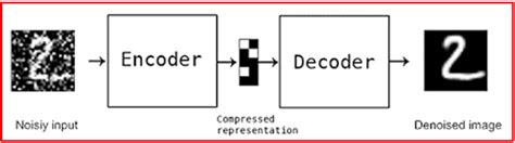 Introduction To Autoencoders Dot Net Tutorials