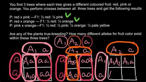 Nikolays Genetics Lessons On Linkedin How To Analyze And Solve Advanced Genetics Problems