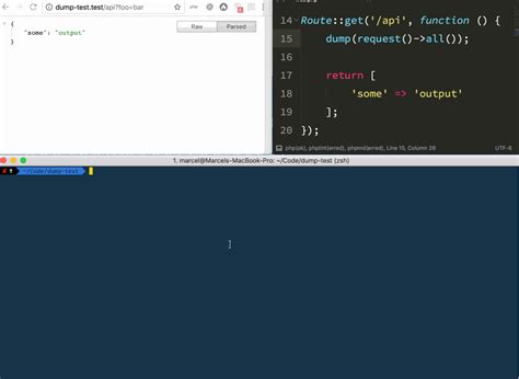 Laravel Dump Server Installation Beyond Code