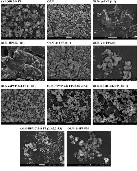 Figure 3 From Evaluation Of Suitable Polymeric Matrix Carriers During Loading Of Poorly Water