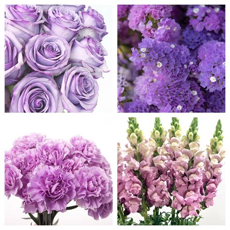 Light Purple Flowers Purple Flowers Flying Flowers
