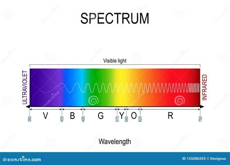 Visible Spectrum Color Infographic Of Sunlight Color Cartoon Vector