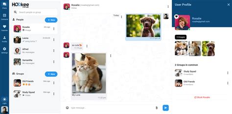 Hookee Pwa Chat App Angular 19 Nodejs Mongodb And Chat App By Theroyaldigit