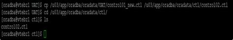 Control Files Multiplexing
