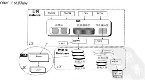 Oracle数据库基础知识 Gritdoyle 博客园