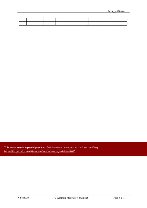 Internal Audit Guidelines Word Template