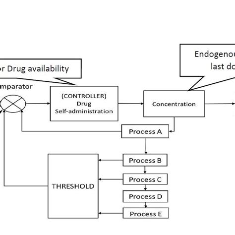Control Theory Model Of Smoking Re Drawn Following 16 Download