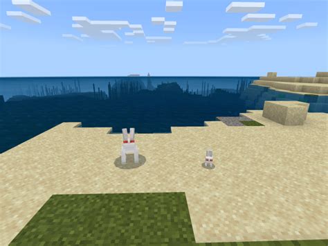 Minecraft Java Edition Rtx Mod While The Java Edition Lets You Use Mods To Enhance Your