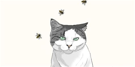 What To Do If Your Cat Gets Stung By A Bee Or A Wasp