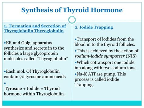 Thyroid Hormone The Guyton And Hall Physiology Ppt