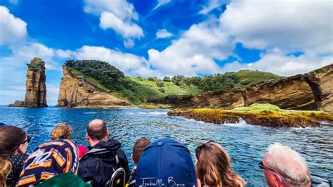 The Best Whale Watching In The Azores When And Where To Go