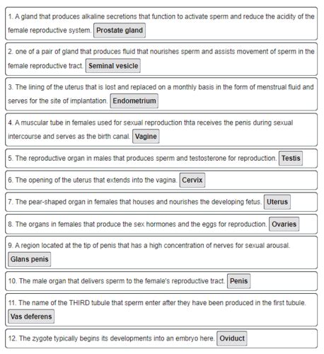 Chapter Homework Flashcards Quizlet