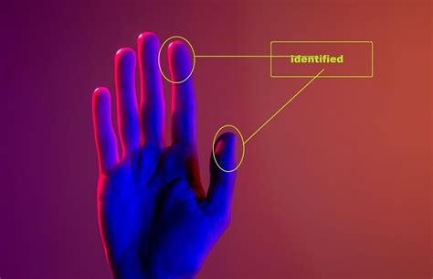 Cybersecurity Biometrics Passwordless B Fy