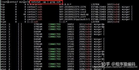 Linux中grep命令数据过滤和筛选 知乎