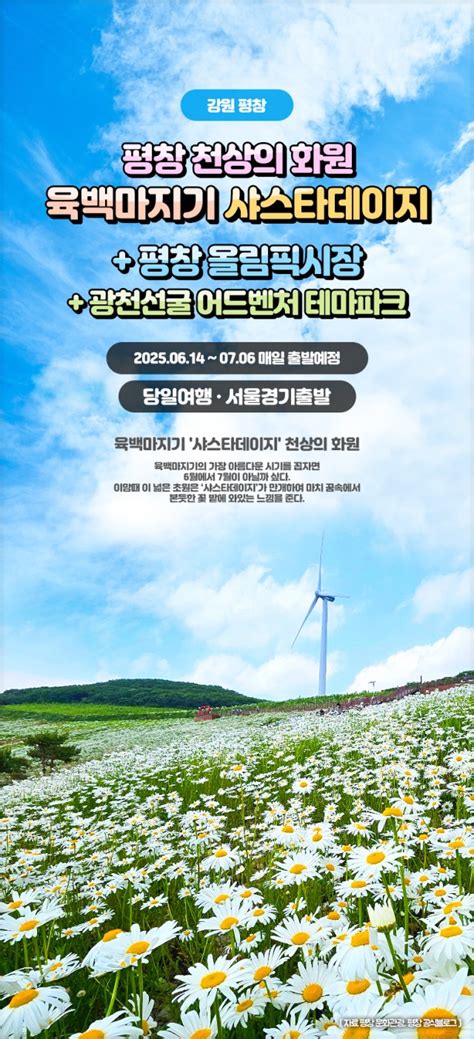 신상 평창샤스타데이지 상품홍보 강원 평창 육백마지기 샤스타데이지 트레킹올림픽시장광천선굴 어드벤처 테마파크 당일여행 서울경 파랑새 블루멤버스 Band