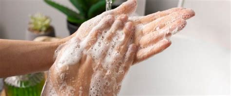 Mudah Dilakukan Begini Cara Membuat Sabun Cair Natural Menggunakan Bahan Alami
