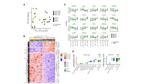 distinct transcriptional dynamics of persisting t cell clonotypes a