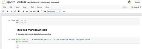 jupyter notebooks — developing fundamental ai programming skills for