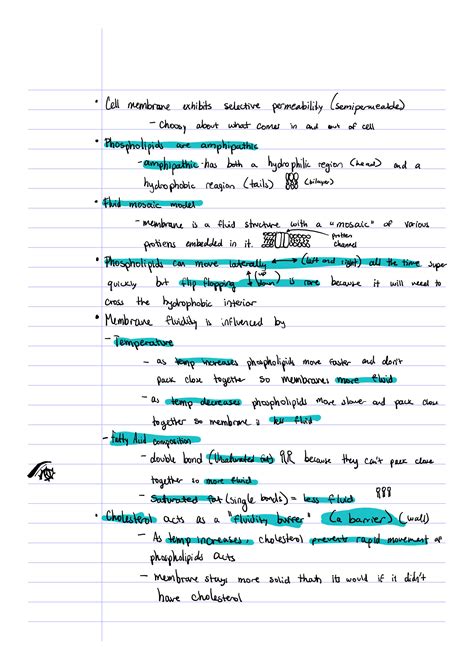 SOLUTION Chapter Membrane Structure And Function Studypool