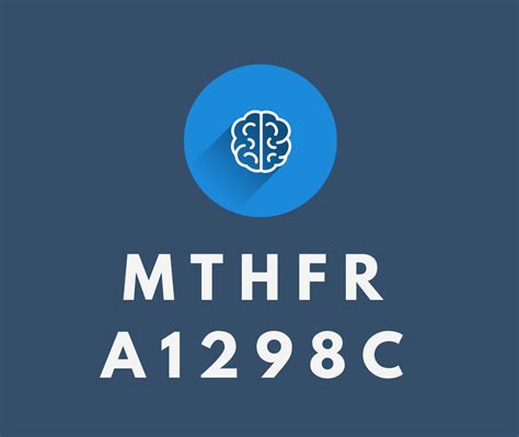 What Is Mthfr A1298c