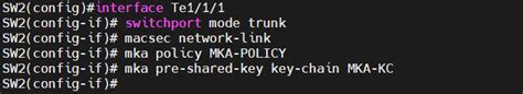Cisco Macsec Switch To Switch Configuration Using Pre Shared Key On Ios
