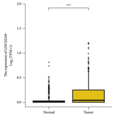 Expression Assays For Linc02249 In Multiple Tumors A Linc02249