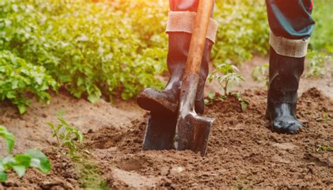 Dig Into Soil Health At Feb 14 Workshop Morning Ag Clips