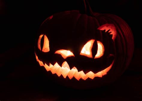 Jack O Lantern Cat Faces