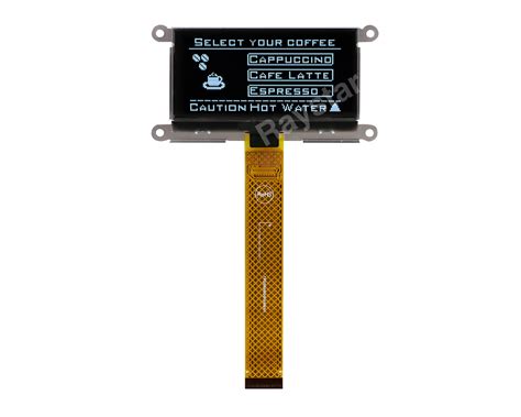 SSD OLED Raystar
