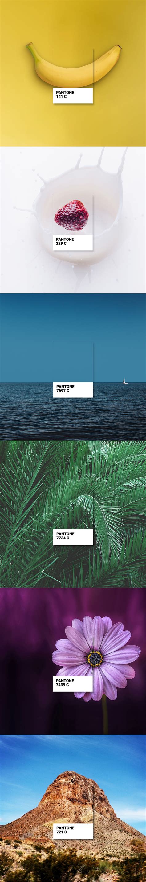 Pantone C Oncept On Behance