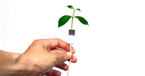 Sustainability Cabling Cables Structuredcabling Environment Sustainable