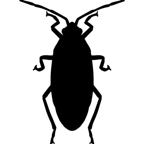 Roach Vector Svg Icon Svg Repo