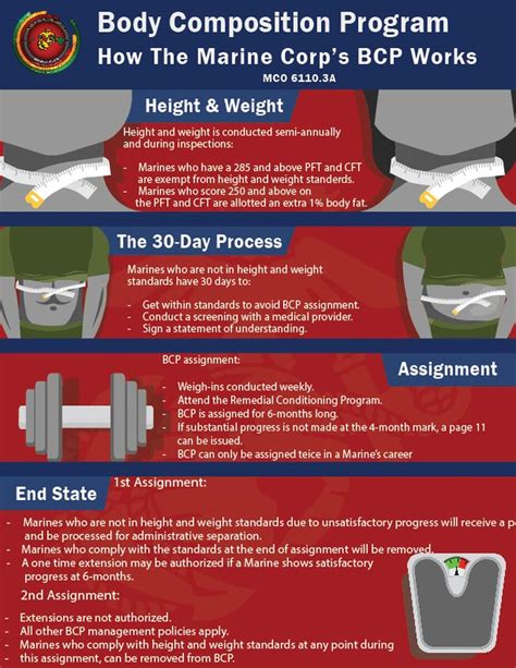 Marine Corps Body Fat Chart Health Body Charts