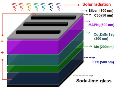 Schematic Illustration Of The Multilayered Structure Of Download