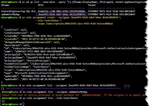 Role Does Not List Role Assignments For Service Principal · Issue