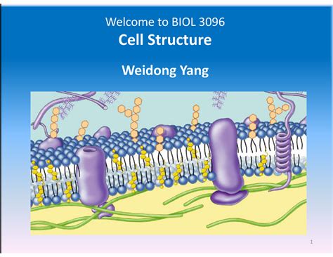 Lecture 18 Membrane Function II 10 9 2023 Welcome To BIOL 3096 Cell