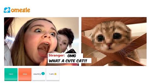 Jumpscaring Girls On Omegle With Cute Cat Youtube