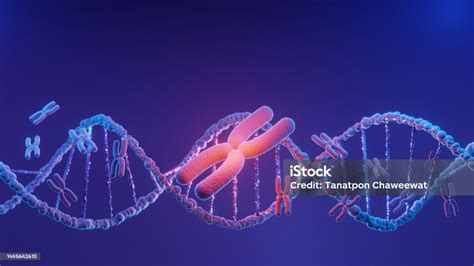 dna spiral structure dna helix complementary strand of sequences