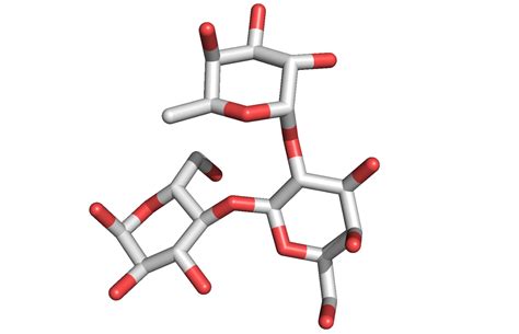 2fl Analytical Standard Glycom Analytical Standards