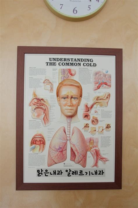 콧물 기침심할때 감기인줄 알았는데 비염 천식 네이버 블로그