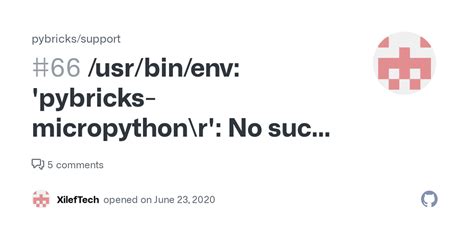Usrbinenv Pybricks Micropythonr No Such File Or Directory