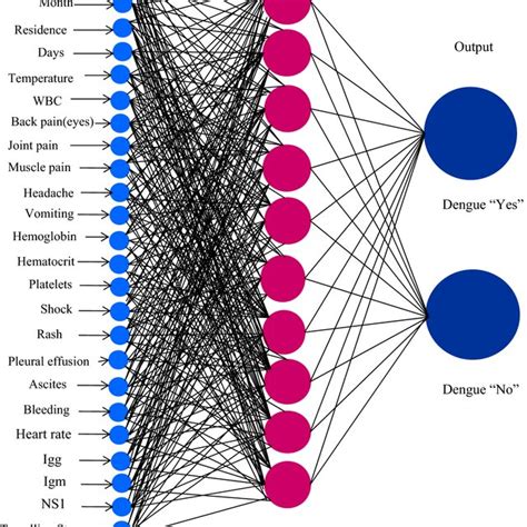 Mlp Nn Structure For Dengue Disease Prediction Download Scientific