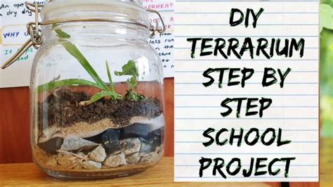 Creating A Terrarium In A Jar At Ida Wheeler Blog