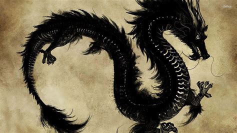[100 ] Black Dragon Wallpapers