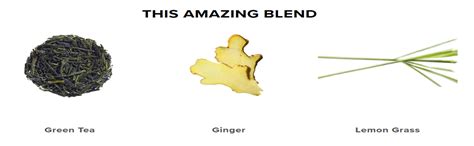 Tazo Ginger Green Tea 20 Ct Amazon Ca Grocery And Gourmet Food