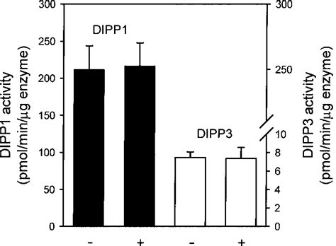 Lack Of Effect Of Prpp Upon Dipp Activity Either Hdipp 0 47 µg Or