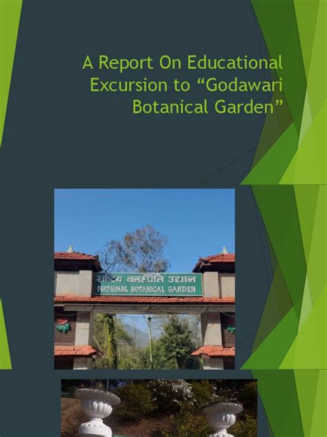A Report On Educational Excursion Pdf Trees Plants