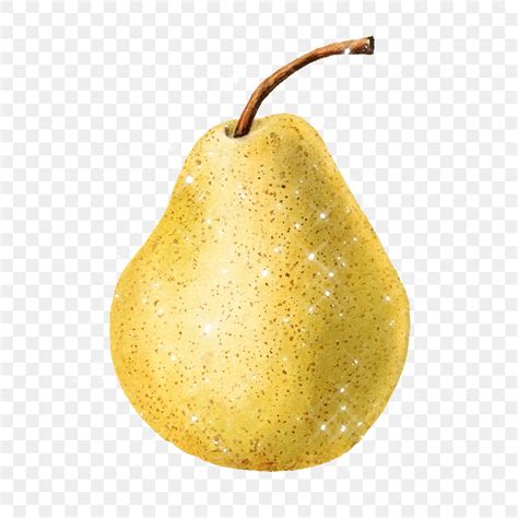 Hand Drawn Pear Design Element Premium PNG Sticker Rawpixel