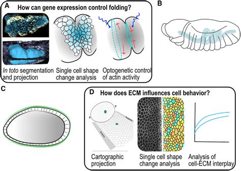 A Using Advanced Frameworks Of Image Cartography And Single Cell Download Scientific Diagram